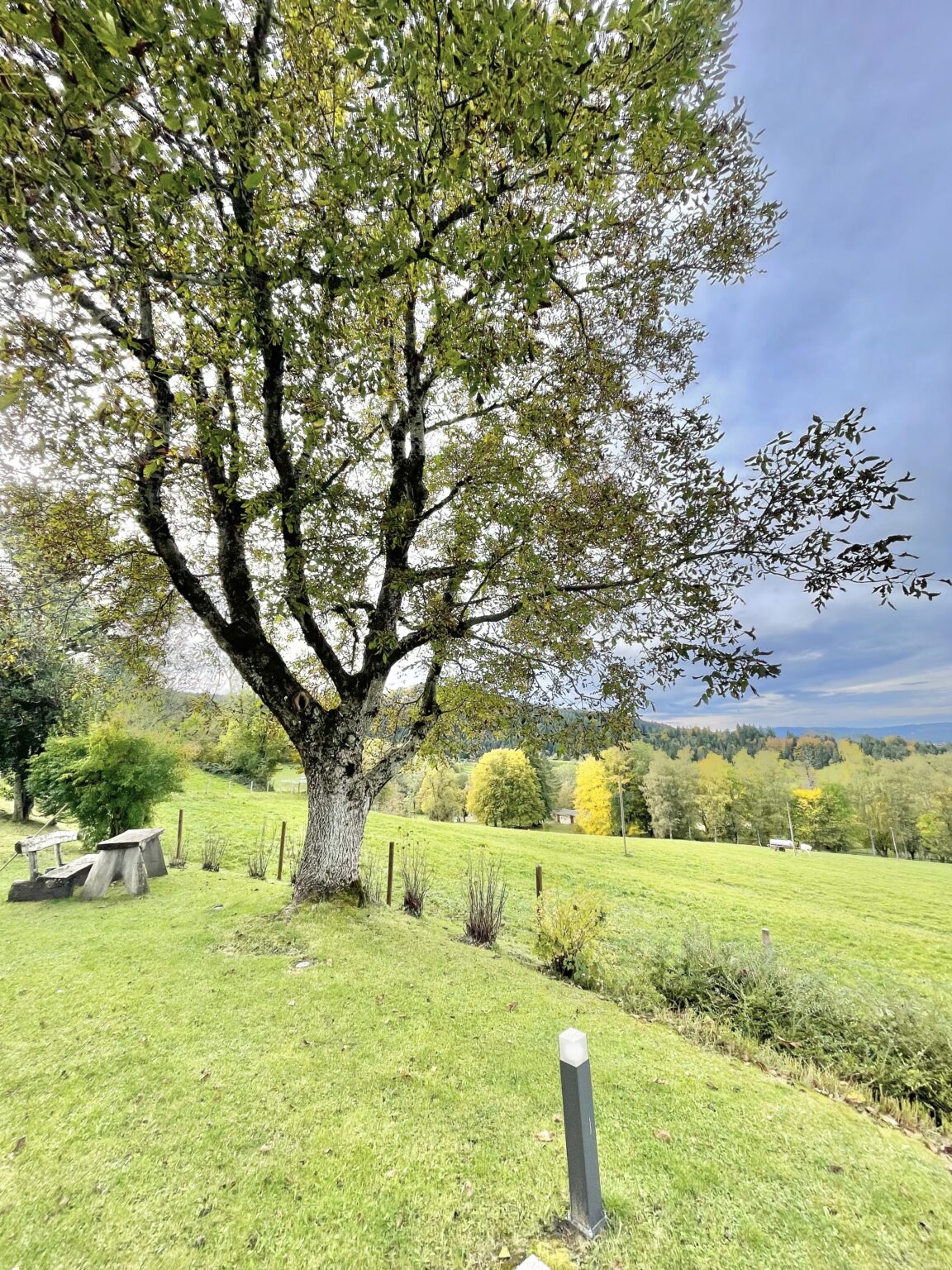 Allgäuer Fillebänkle – Loft – Peter Rist – Die Stimme des Allgäus